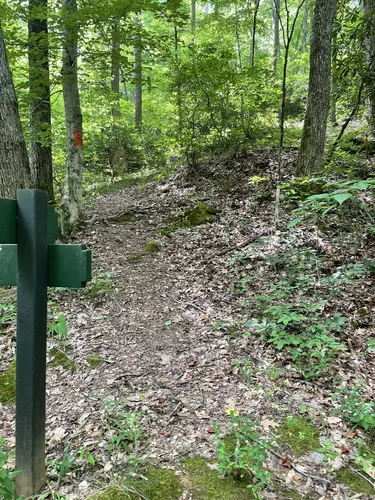 Best Hikes and Trails in Doe Run Park | AllTrails