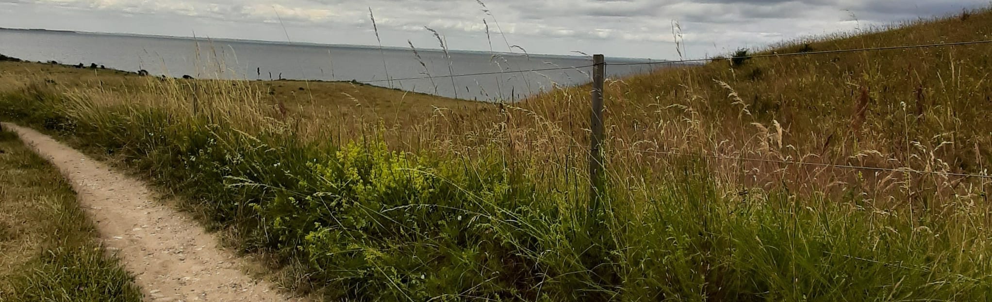 Langdalen Rundt, Central Denmark, Denmark - 15 Reviews, Map | AllTrails