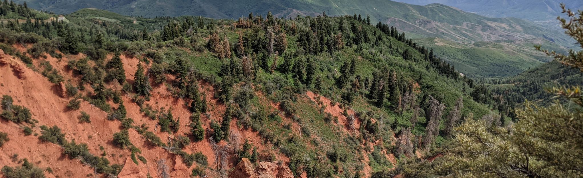 Devil's Kitchen Viewpoint, Utah - 103 Reviews, Map | AllTrails