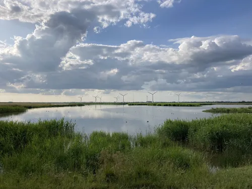 Best Walking Trails in Wadden Sea National Park | AllTrails