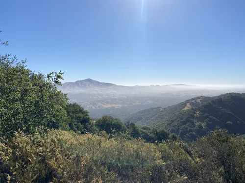 10 Best Trails and Hikes in San Ramon | AllTrails