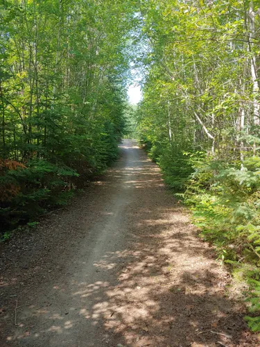 Best Partially Paved Trails in Whiteshell Provincial Park | AllTrails