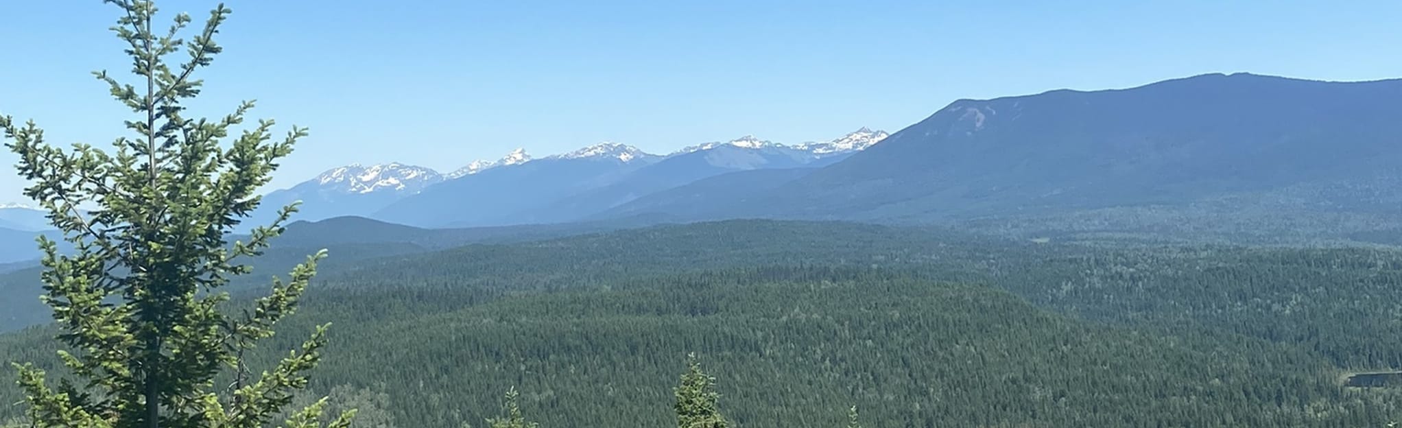 Pyramid Mountain: 44 Reviews, Map - British Columbia, Canada | AllTrails