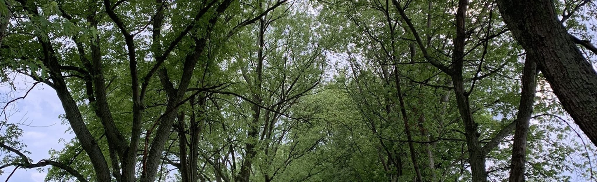 Niagara-on-the-Lake Waterfront Trail, Ontario, Canada - 231 Reviews ...