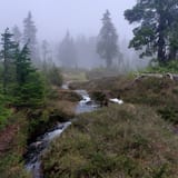 Red Heather Meadows, British Columbia, Canada - 131 Reviews, Map ...