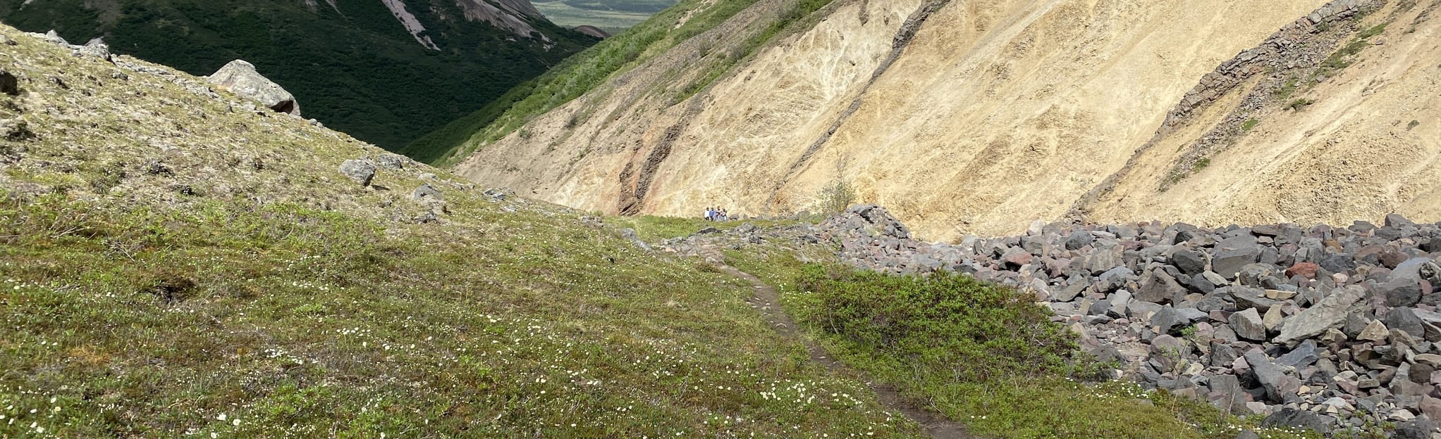 Skookum Volcano Trail: 44 Reviews, Map - Alaska | AllTrails