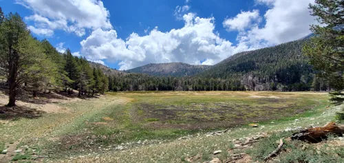 10 Best Trails and Hikes in Forest Falls | AllTrails