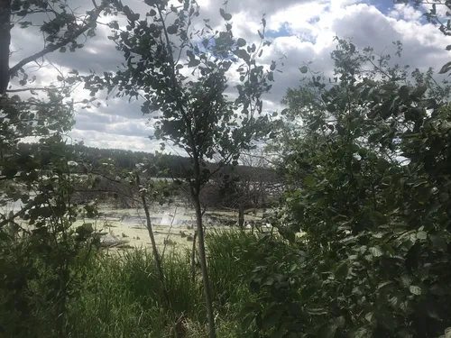 Best Mountain Biking Trails in Cooking Lake/Blackfoot Provincial ...