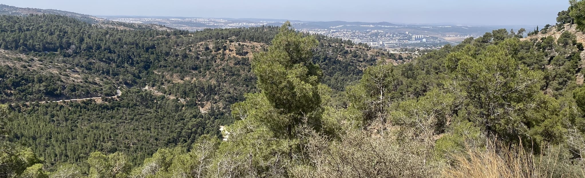 Israel National Trail: Neve Shalom to Tzuba: 2 Reviews, Map - Jerusalem ...