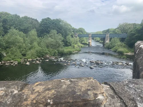 10 Best Trails, Walks, and Paths in Durham | AllTrails