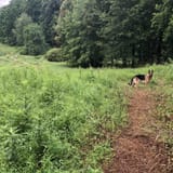 Parilla Path and Gude Loop Trail, Maryland - 133 Reviews, Map | AllTrails