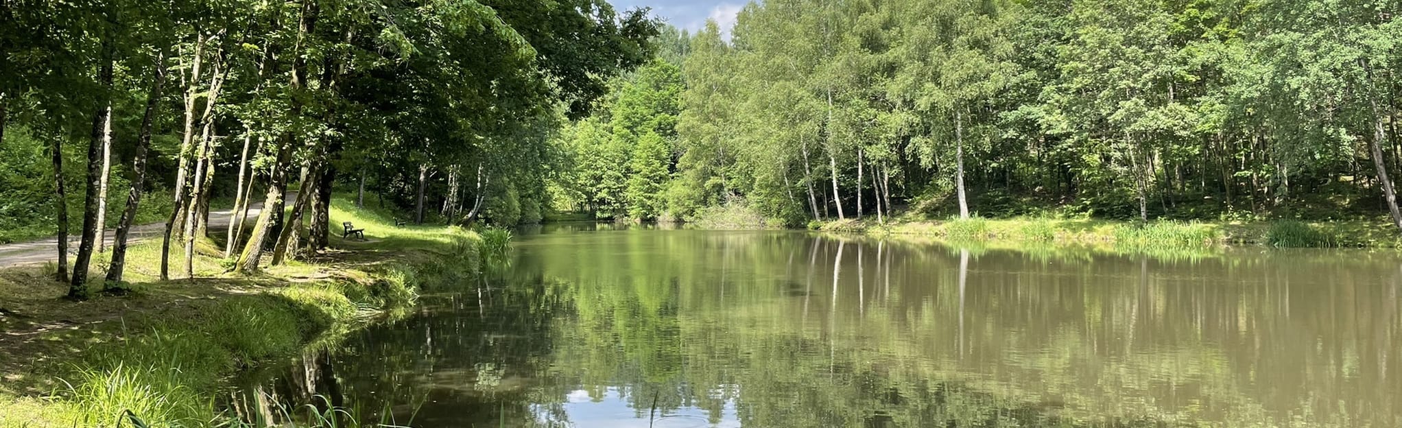 Hinterweidenthal - Dicke Eiche - Erfweiler, Rhineland-Palatine, Germany ...