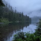 Hector Ferguson Lake Trail [CLOSED], British Columbia, Canada - 50 ...