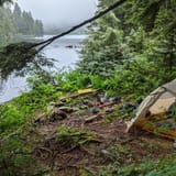 Hector Ferguson Lake Trail [CLOSED], British Columbia, Canada - 50 ...