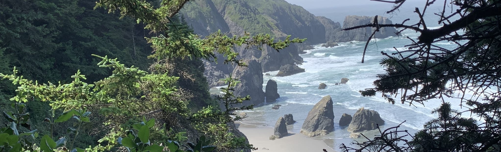 Thomas Creek Bridge Overlook, Oregon - 77 Reviews, Map | AllTrails