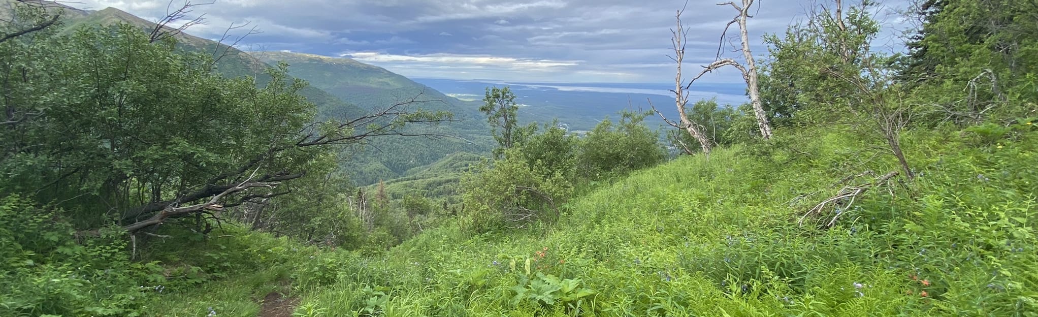 Bear Point (Snutnadzeni) via Mount Eklutna Trail, Alaska - 329 Reviews ...