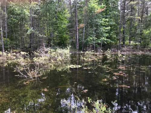 Best Hikes and Trails in Kalkaska | AllTrails