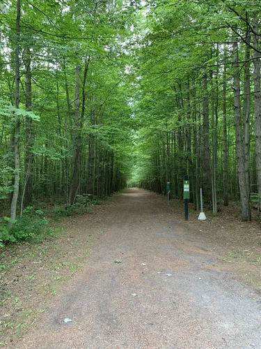 Best Forest Trails in Pine Grove Forest | AllTrails