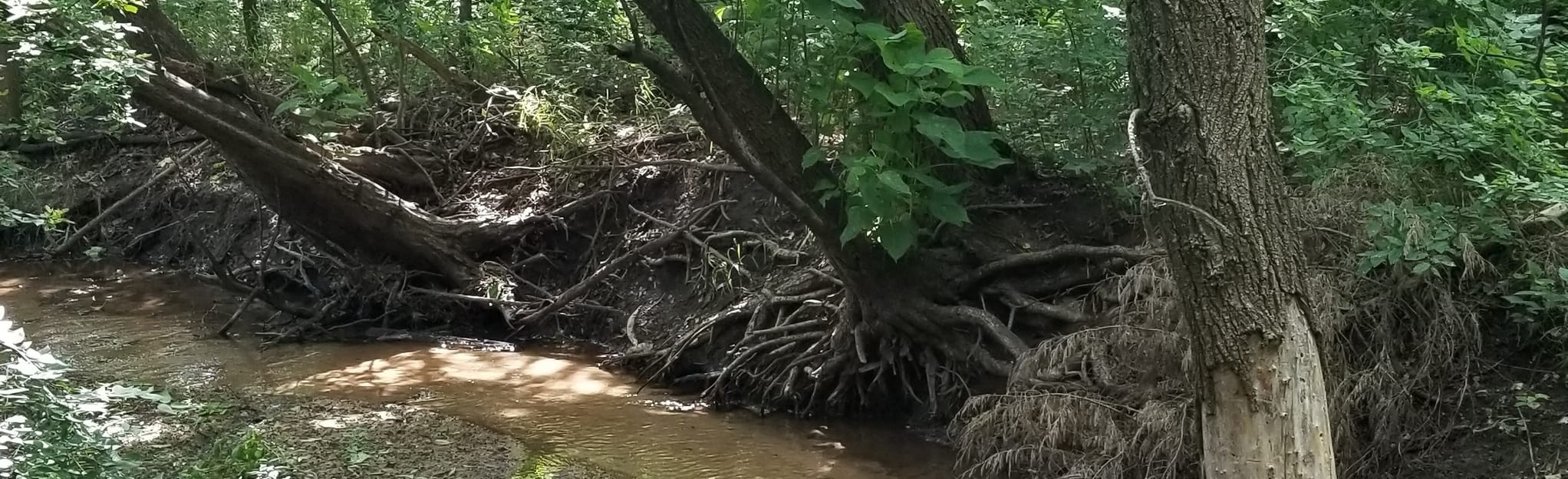 Cheney Trail To Goldfish Pond: 24 Reviews, Map - Kansas | AllTrails