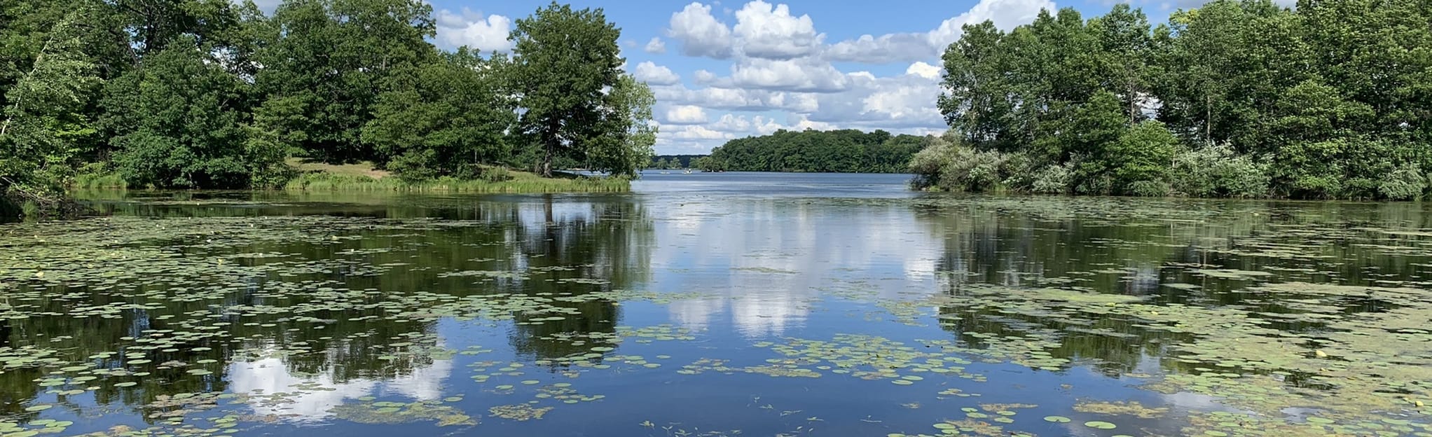 Kent Lake Loop: 1475 Reviews, Map - Michigan | AllTrails