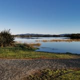 Kainui Lake Loop, Waikato, New Zealand - 76 Reviews, Map | AllTrails