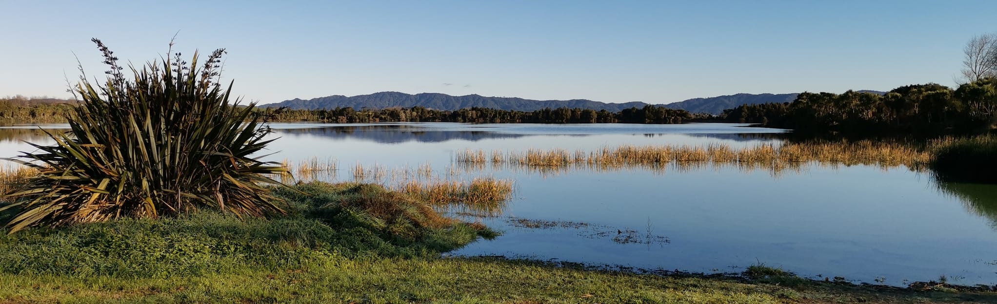 Kainui Lake Loop, Waikato, New Zealand - 66 Reviews, Map | AllTrails