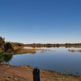 Kainui Lake Loop, Waikato, New Zealand - 76 Reviews, Map | AllTrails