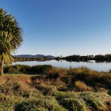 Kainui Lake Loop, Waikato, New Zealand - 99 Reviews, Map | AllTrails