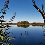 Kainui Lake Loop, Waikato, New Zealand - 99 Reviews, Map | AllTrails