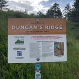 Duncan's Ridge, Colorado - 159 Reviews, Map | AllTrails
