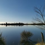 Kainui Lake Loop, Waikato, New Zealand - 99 Reviews, Map | AllTrails