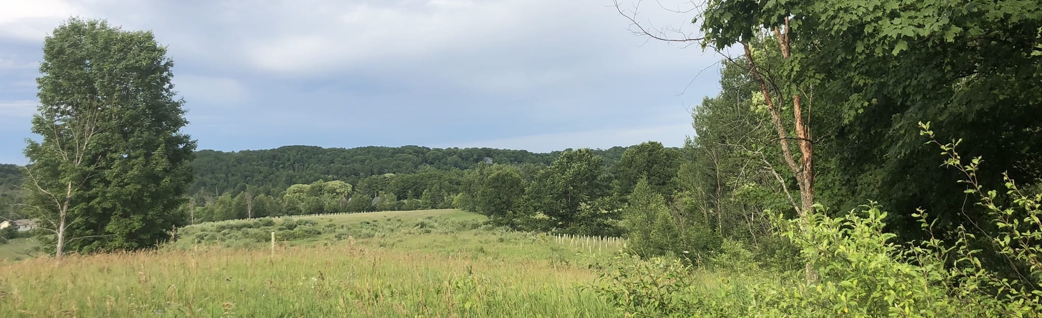 Cedar Forest, Wild Edibles, Forest Valley, and Farmstead Loop, Michigan ...