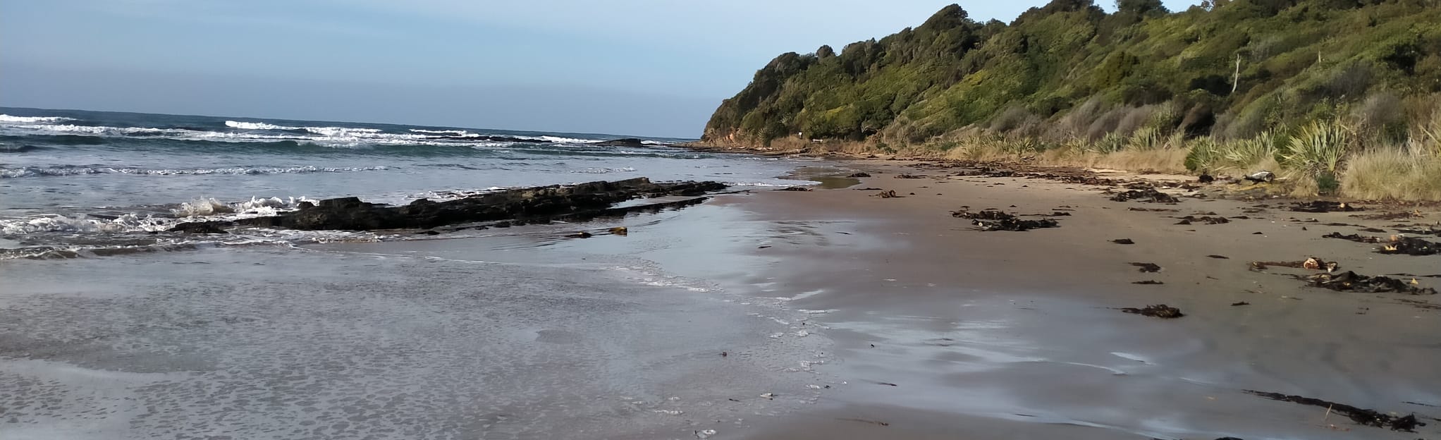 Papatowai Scenic Reserve Track: 9 Reviews, Map - Otago, New Zealand ...