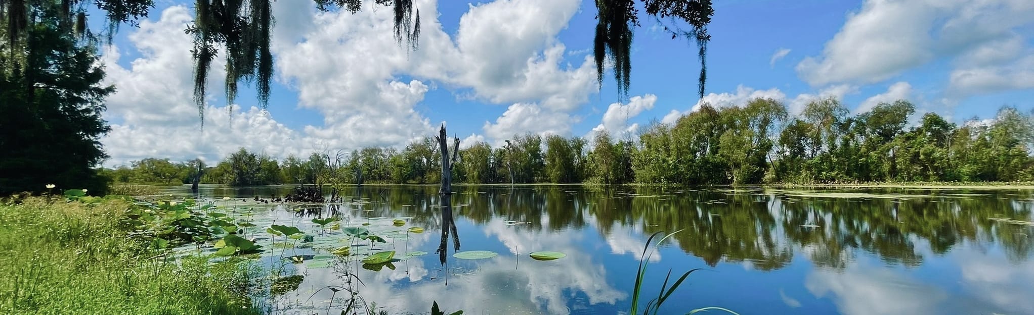 Elm Lake Loop Trail: 309 Reviews, Map - Texas | AllTrails