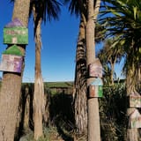 Kainui Lake Loop, Waikato, New Zealand - 99 Reviews, Map | AllTrails