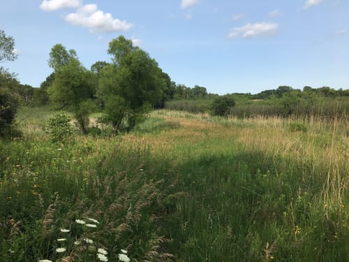 Best Hikes and Trails in New Munster Wildlife Area | AllTrails