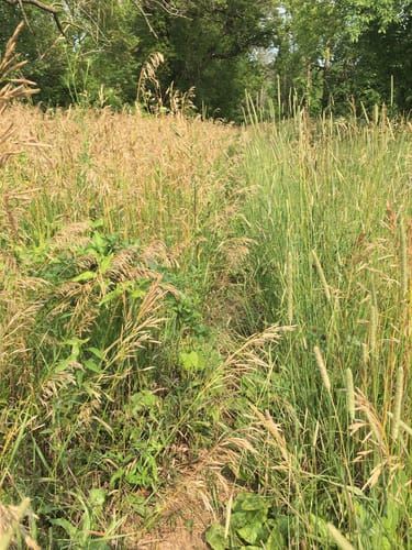 Best Hikes and Trails in New Munster Wildlife Area | AllTrails
