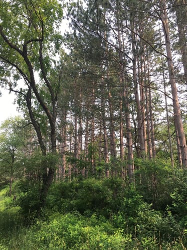 Best Hikes and Trails in New Munster Wildlife Area | AllTrails