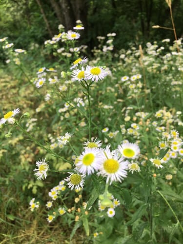 Best Hikes and Trails in New Munster Wildlife Area | AllTrails