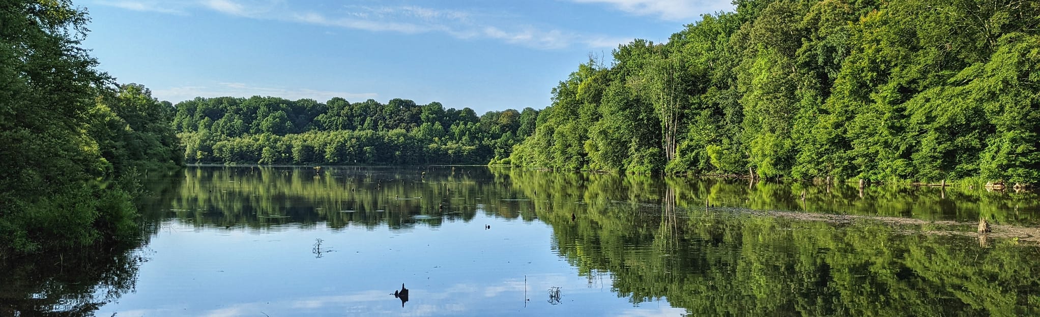 Lake Mercer Park Loop, Virginia - 1,221 Reviews, Map | AllTrails