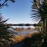 Kainui Lake Loop, Waikato, New Zealand - 99 Reviews, Map | AllTrails