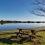 Kainui Lake Loop, Waikato, New Zealand - 99 Reviews, Map | AllTrails