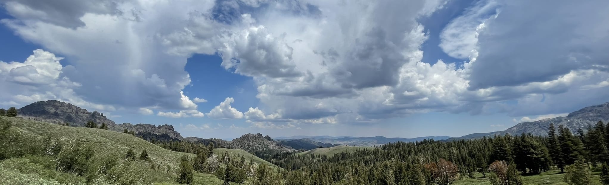 PCT: CA Section J - Sonora Pass to Echo Lake: 61 Reviews, Map ...