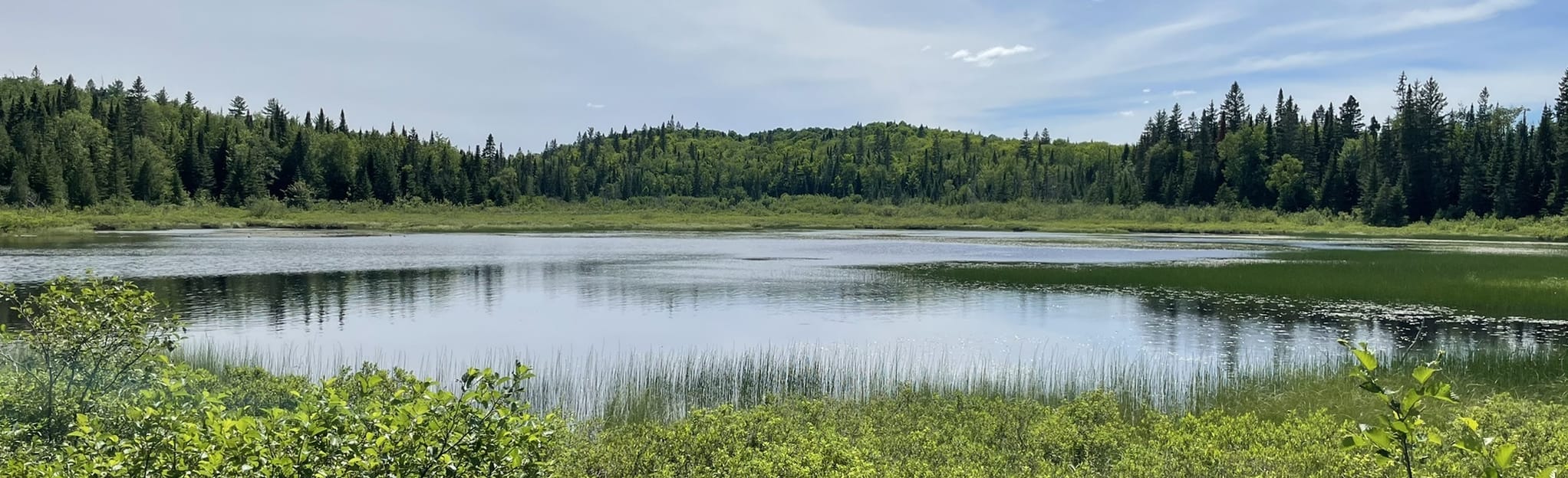 Sutherland Trail: 34 Reviews, Map - Quebec, Canada | AllTrails