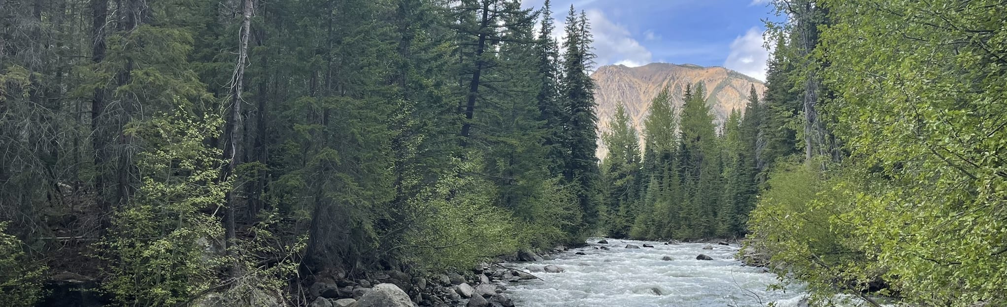Spruce Lake via Gun Creek Trail: 28 Fotos - British Columbia, Kanada ...