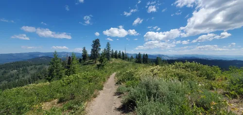 10 Best Backpacking Trails in Boise National Forest | AllTrails