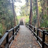 Kuranda Village, Barron Falls and River Walk, Queensland, Australia ...