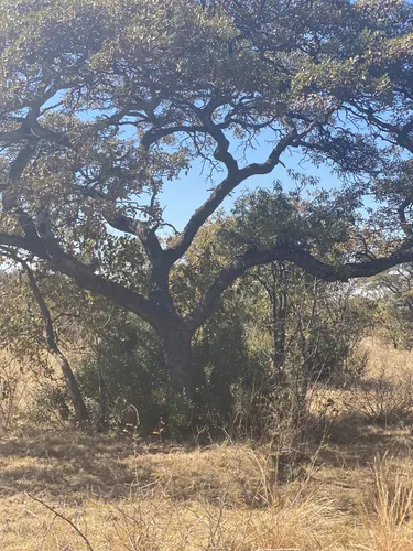 10 Best Trails and Hikes in Rustenburg | AllTrails