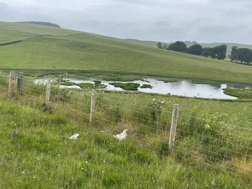 10 Best Walking Trails in Hawick | AllTrails