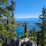 Bayview Trail to Velma Lakes, California - 401 Reviews, Map | AllTrails